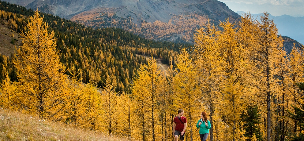 10 Things To Do in Banff This Fall - Fairmont Banff Springs
