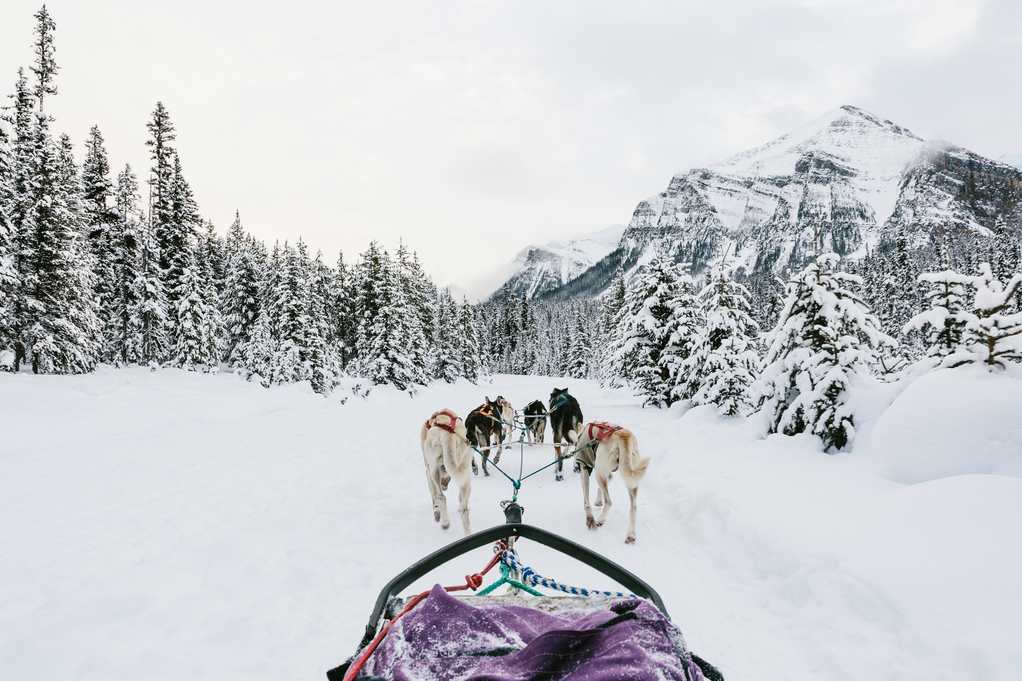 Magic of SnowDays - Fairmont Banff Springs